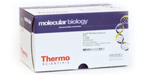 Thermo Scientific Kit Genejet Plasmid Maxiprep 10 Preps Buy Online Thermo Scientific