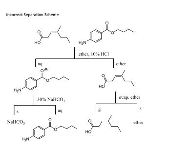Solved Assignment 5 Separation Scheme Correction On A Page Chegg Com