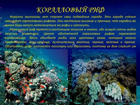 Подводное царство - презентация онлайн