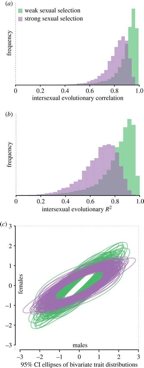 Macroevolutionary Consequences Of Sexual Conflict Biology Letters