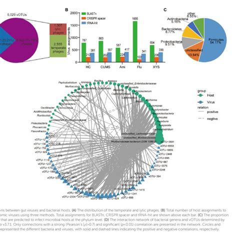 The Functional Profiles Of Gut Virome In The Kegg Pathway Via Download Scientific Diagram