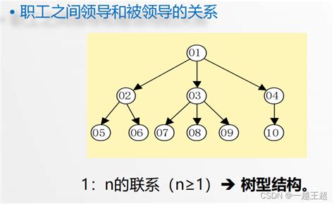 数据结构、算法、程序之间的关系以及基本概念 程序算法数据结构三者之间的关系 csdn博客