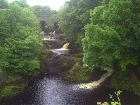 About Mill River Conservation Group