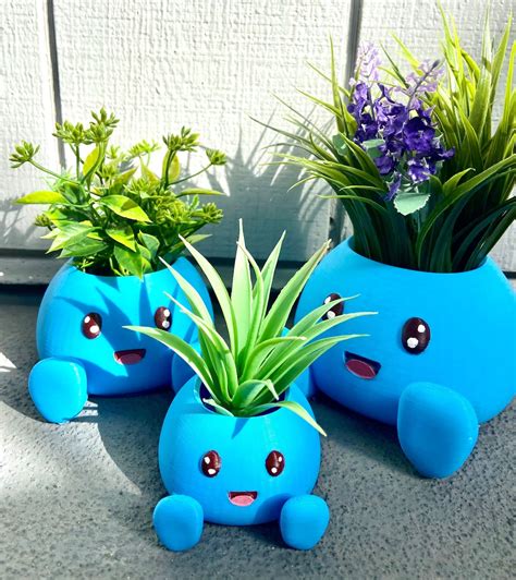 Oddly Cute Succulent Planter Cool T Cute Succulent Planter For