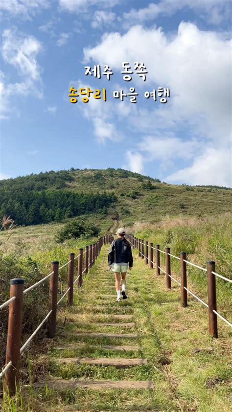 링쿠 ㅣ 여행 • 숙소 • 핫플 • 카페 흐린날 가는 몽환적인 스팟 비오면 오히려 더 좋은 신비한 장소 제주 동쪽 숨은 포토 스팟 중 하나인 제동목장 입구인데요🖤 성읍