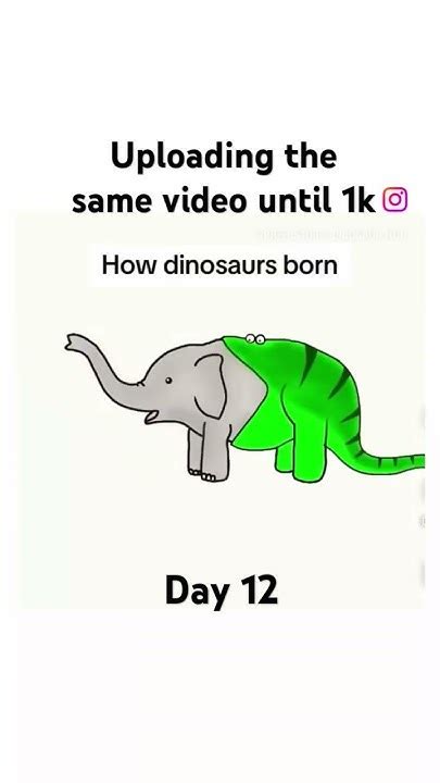Day 12 Youtube
