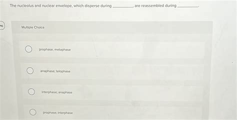 The Nucleolus And Nuclear Envelope Which Disperse During Are Reassembled During Multiple