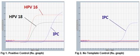 AccuPower HPV Real Time PCR Kit