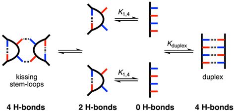 Supramolecular Assembly Properties Of A Mixed Sequence Recognition Encoded Melamine Oligomer
