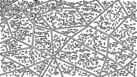 1 Sketch Of A Distributed Flow Through A Fissured Rock Scenario Download Scientific Diagram