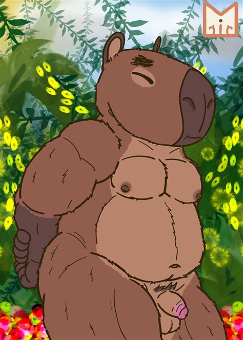 Rule 34 2021 Anthro Balls Belly Brown Body Capybara Caviid Closed Eyes Detailed Background