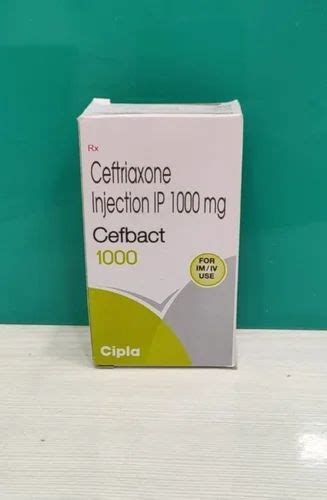 Cipla Cefbact 1000mg Injection At Rs 24 93 Vial In Navi Mumbai Id 2848989263088