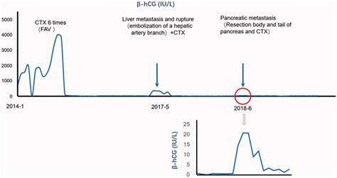 Serial Assessment Of A 43 Year Old Female Patients Serum Levels Of The Download Scientific