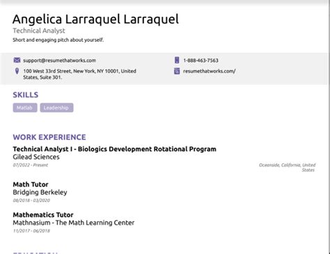 Download Free Technical Analyst Resume Template On