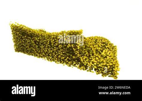 Vj Loop Vfx Particle Based 3d Fluid Simulation 3d Liquid Particles