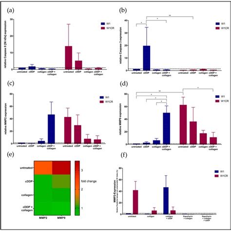 Ddr1 Signaling In Human And Mouse Pda A Ihc Detection Of Phospho Ddr1