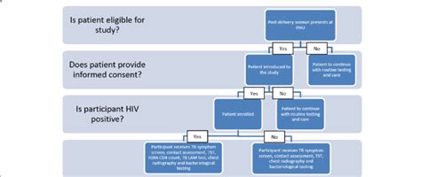 Patient Management Algorithm Download Scientific Diagram