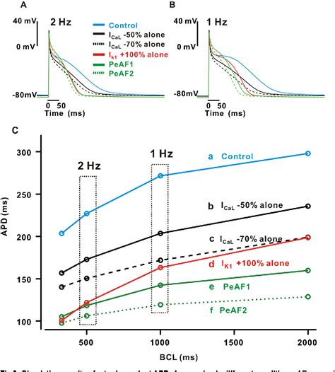 Figure 3 From The Contribution Of Ionic Currents To Rate Dependent Action Potential Duration And