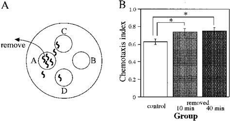 Effect Of Population Density At Attractant Location On Chemotaxis Index