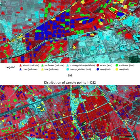 Spatial Distribution Of Sample Points The ‘test Samples Are Used For Download Scientific