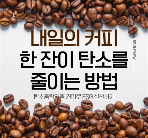 Feature 내일의 커피 한 잔이 탄소를 줄이는 방법 Re The New 리더뉴