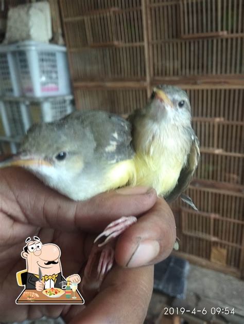 Singkong Keju West Jakarta Restaurant Menu Prices And Reviews