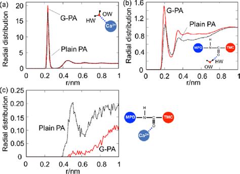 Radial Distribution Of A Oxygen Of Water And Ca 2 B Hydrogen Of
