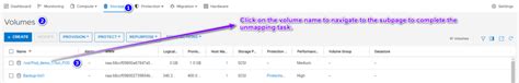 how to unmap volume from host in powerstore remove storageareawork
