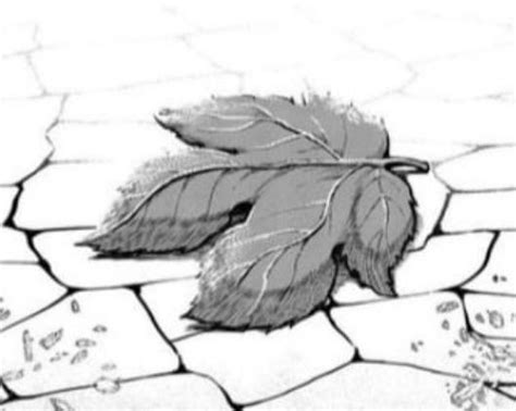 Anyone Know How Big This Very Generic Leaf Is That Definitely Doesnt