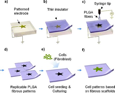 Schematic Illustration Of The Fabrication Of A Fibrous Scaffold A A Download Scientific