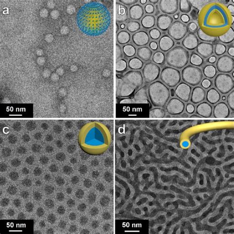 A Cryo Tem And B−d Tem Images And The Corresponding Structural