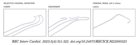 Massive Hemoptysis Selective Embolization Of Bronchial Artery Left Pulmonary Artery Fistula