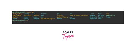 Shell In Operating System Scaler Topics