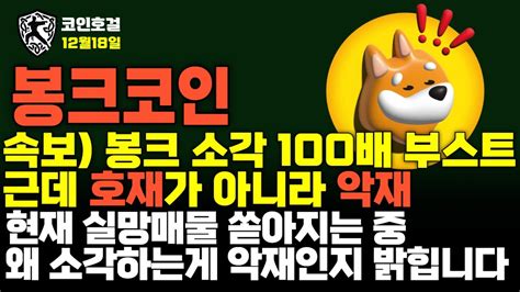 봉크 코인전망 속보 봉크 소각 100배 부스트 근데 호재가 아니라 악재입니다 실망매물이 쏟아지는데 왜 소각 빨리하는게 악재인지 분석해드립니다 필수시청 Youtube