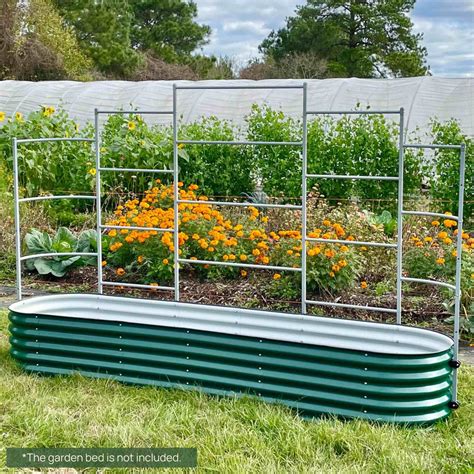 Wall Trellis System Plant Addicts