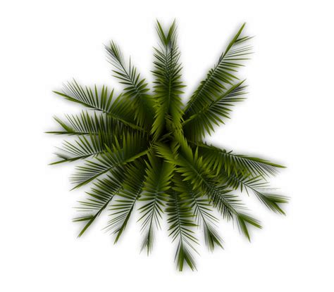 Free Top View Png Download Free Top View Png Png Images Free ClipArts On Clipart Library