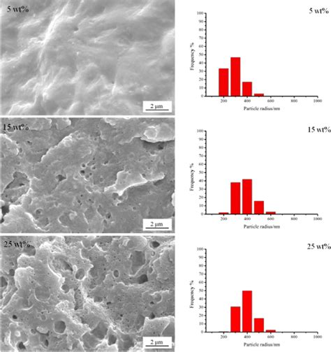 Sem Micrograph Of The Pa6abs Reactive Blends With Different Contents