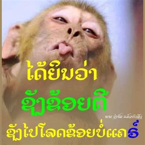 ແອໂຣລາວ Aerolaos Added A New Photo ແອໂຣລາວ Aerolaos