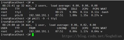 centos t掉用户 centos7 who 把登陆账号退出 csdn博客