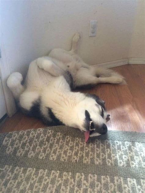 Stop Working Scrolller