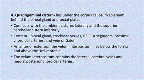 Ventricles And Cisterns Of Human Brain Pptx Brain And Nervous System Disorders Diseases And