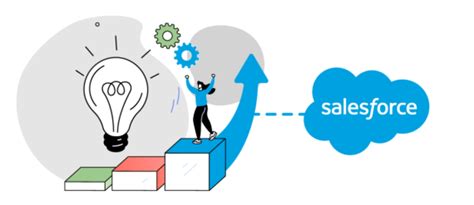 Optimize Salesforce For ROI Peeklogic