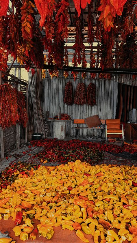 고추 고추장 노점 농산물 농산물 시장 농업 농작물 디스플레이 뜨거운 고추 매운 매운 칠리 바구니 붉은 고추 빨강 및 녹색 생생한 색상 소쿠리