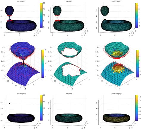 Figure 1 From Numerical Surgery For Mean Curvature Flow Of Surfaces