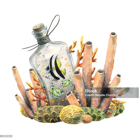 산호와 바다 스폰지가있는 병에 열대 물고기 수채화 구성 엽서 기념품 포스터 배너 스티커 인쇄물 디자인을위한 삽화 열대 기후에 대한 스톡 벡터 아트 및 기타 이미지 Istock