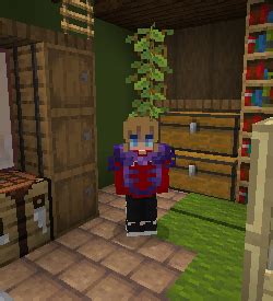 Matowo S Invisible Armor Minecraft Mod