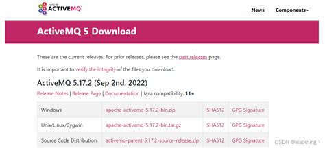 Linux搭建activemq服务 Springboot连接调试activemq 调试 Csdn博客