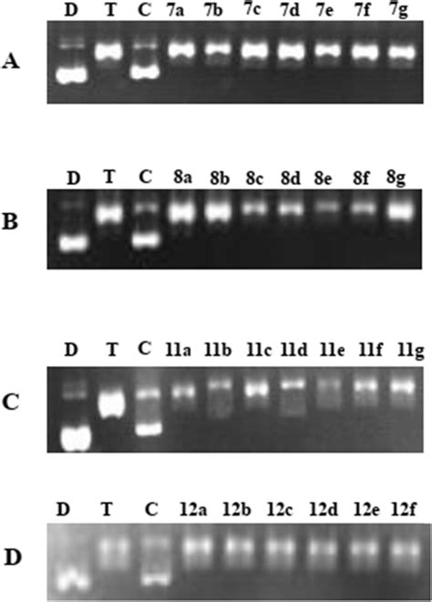 Human Dna Topoisomerase I Inhibitory Activity Of Compounds 7a 7g A