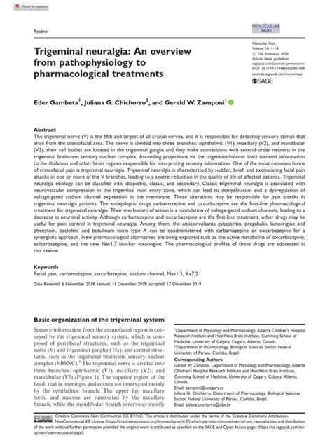 1 Trigeminal Neuralgia An Overview From Pathophysiology To