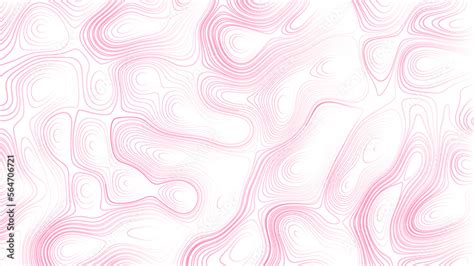 Abstract Pink Topographic Map Vector Background With Height Lines Topographic Map Colorful